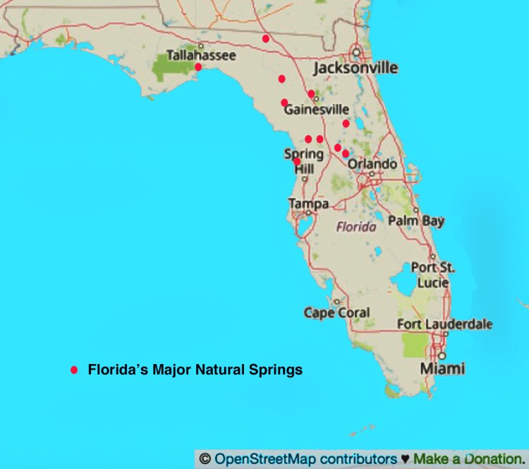 Exploring Florida’s Incredible Springs – The Intentional Travelers