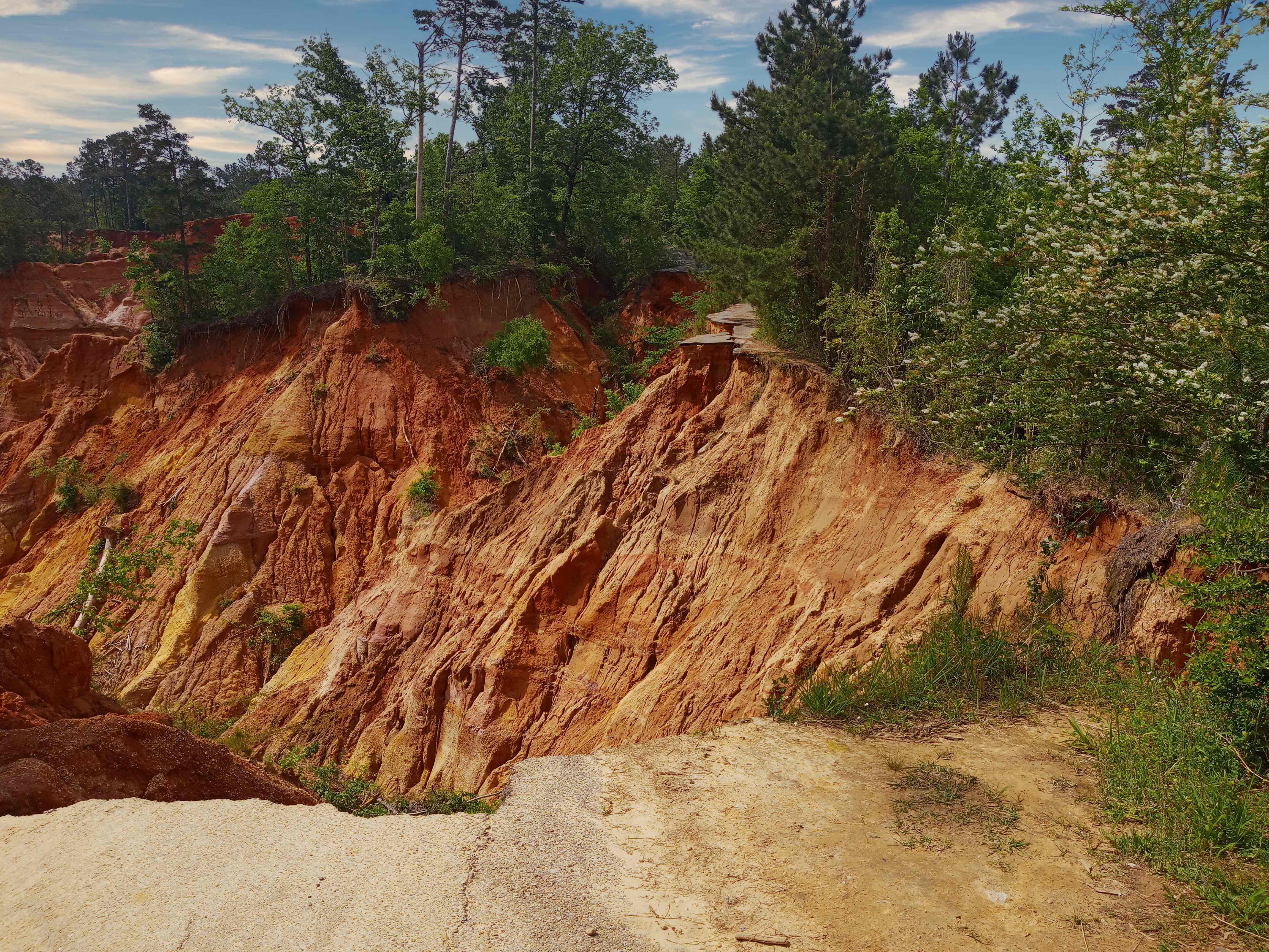 Red Bluffs Mississippi – The Intentional Travelers
