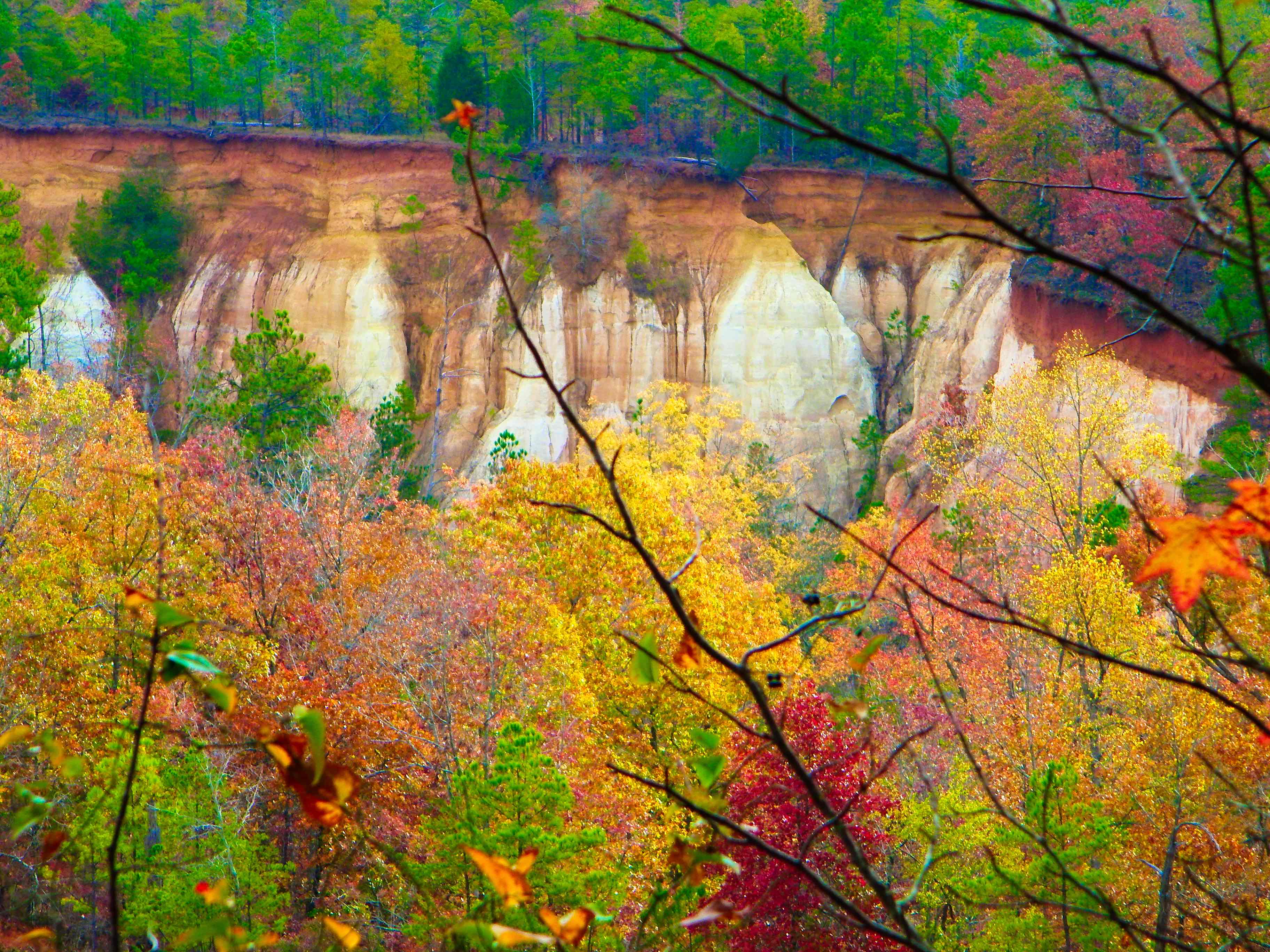 Georgia’s Providence Canyon State Park – The Intentional Travelers