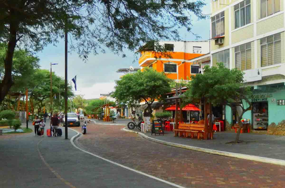 Wildlife Of The Galápagos Islands – The Intentional Travelers