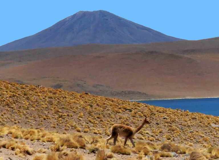 Exploring Chile From Top To Bottom, An Introduction – The Intentional ...